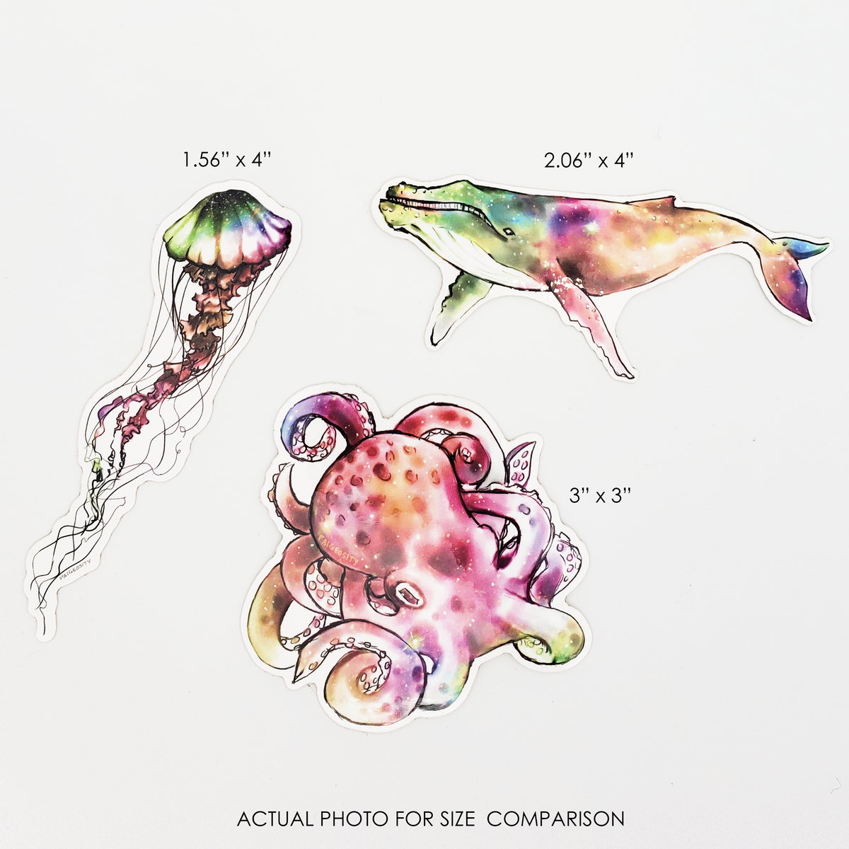 COSMIC Jelly Sticker – Paigeosity